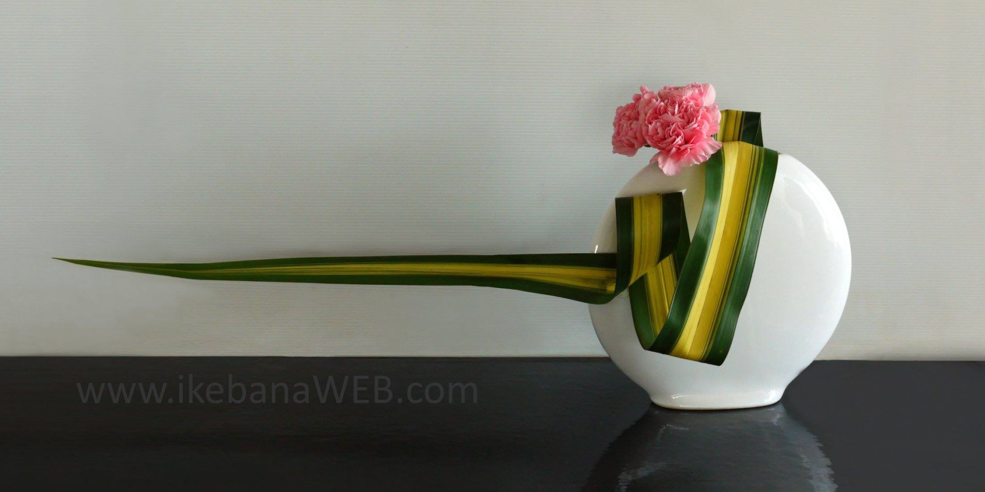 25 Leaf Manipulation Techniques - from Japanese floral art ikebana