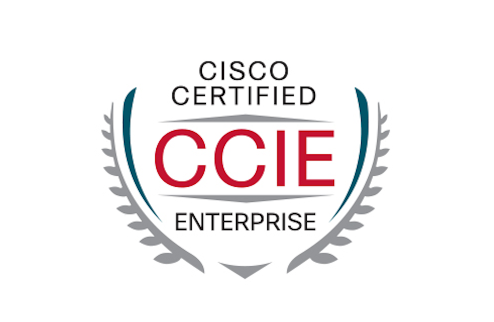 CCIE EI Lab Bootcamp