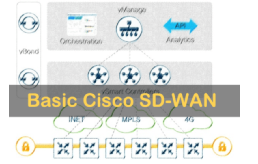 Cisco SD-WAN (Basic) Video on Demand