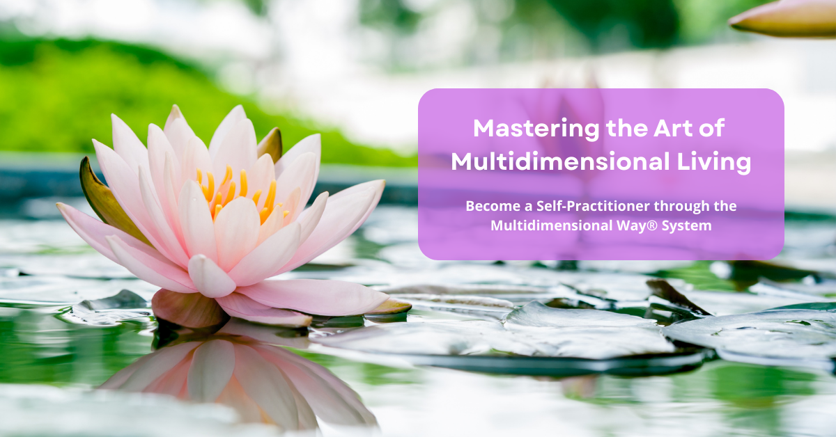 Multidimensional Way® Practitioner Course