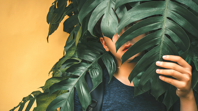 TCK Identity & Belonging