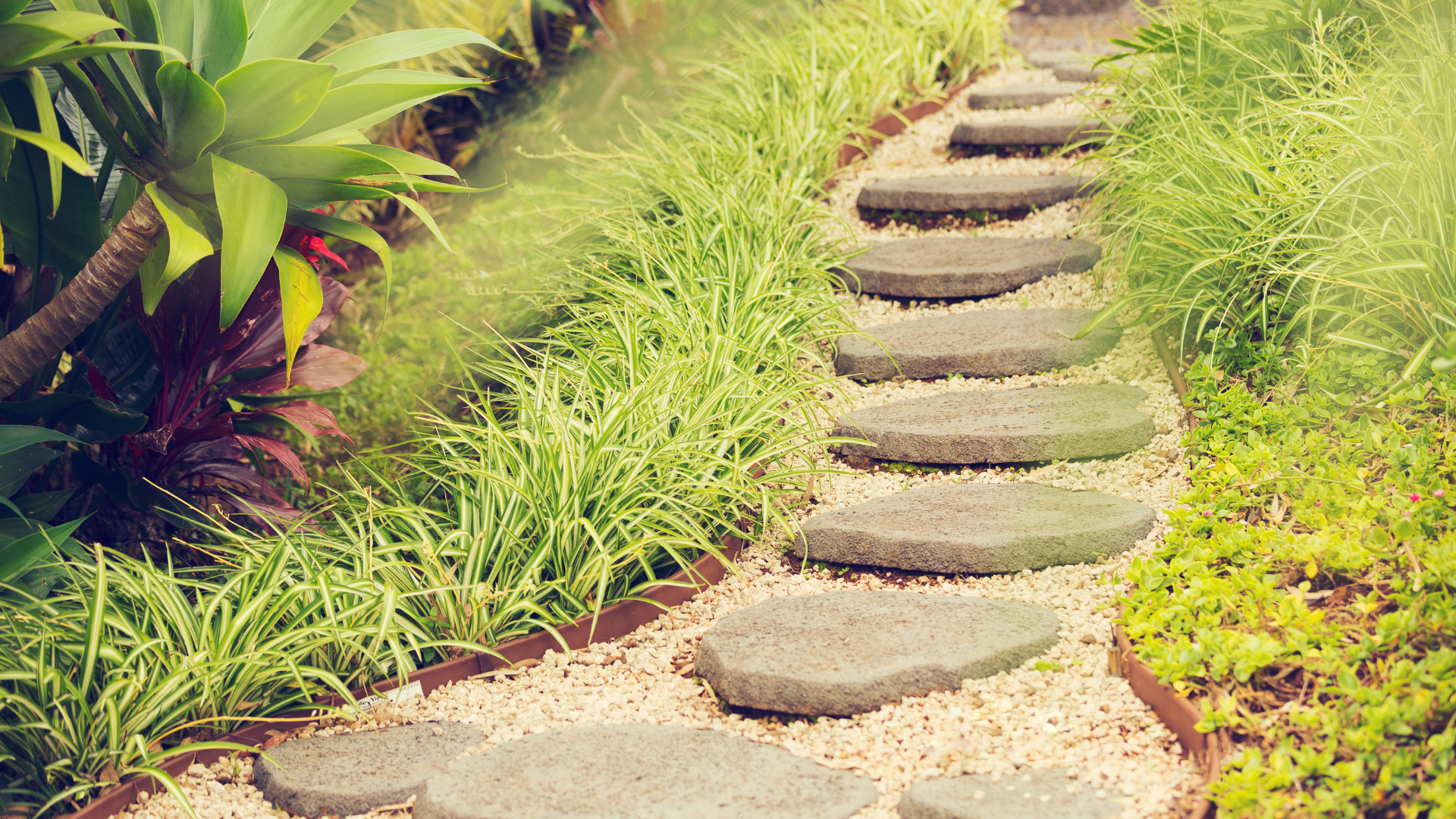 Pathways Certification