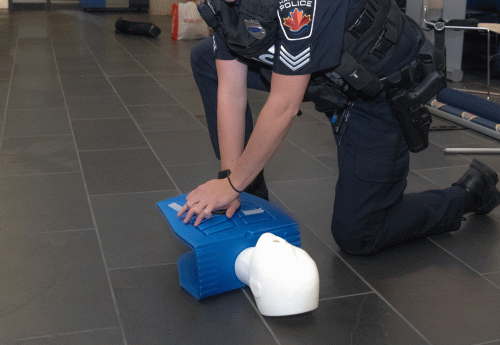 Standard First Aid and CPR Level C Training | Flex Point Academy