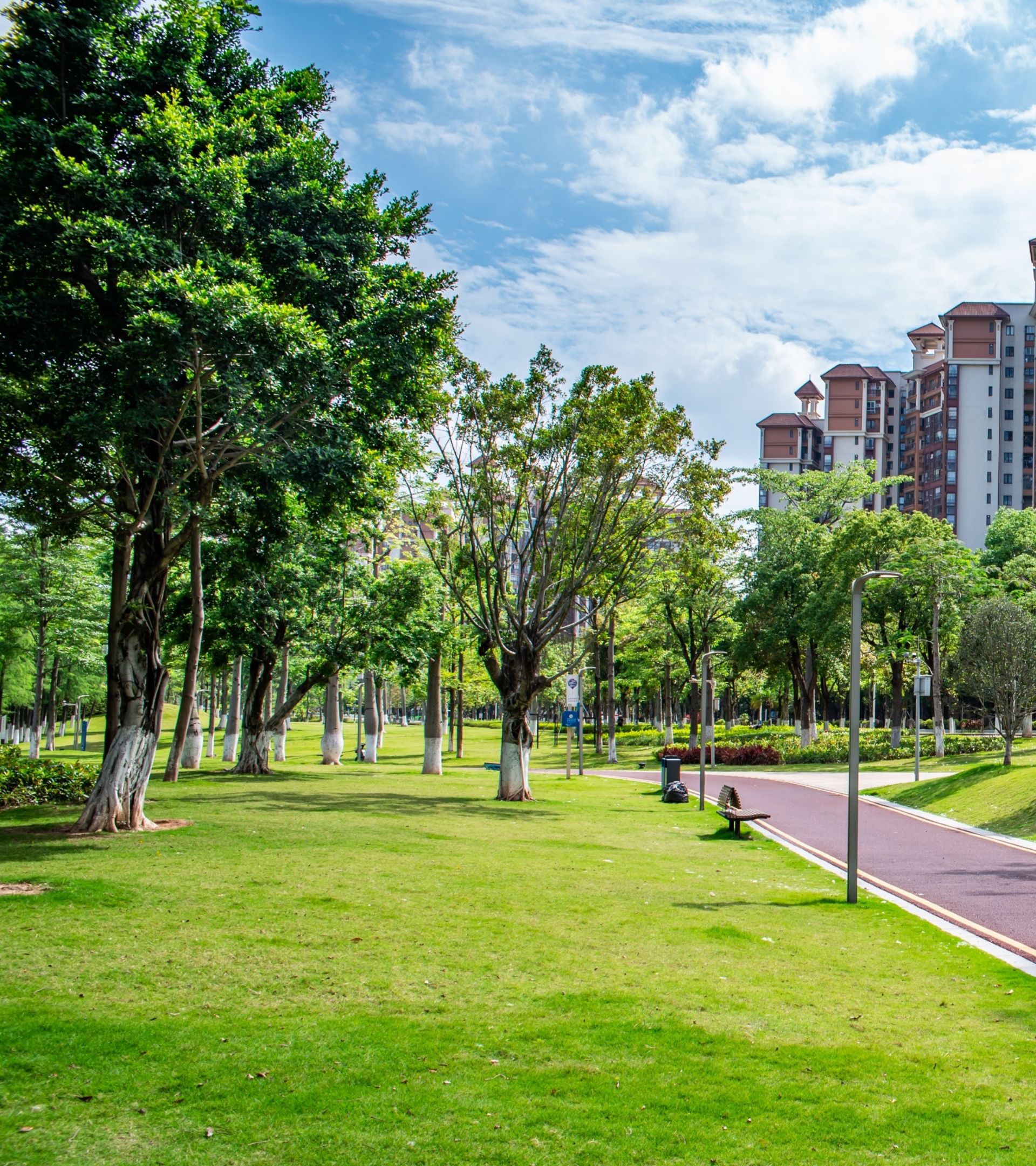 (2025) 07. Leveraging Support & Collaborations Towards a Net Zero World