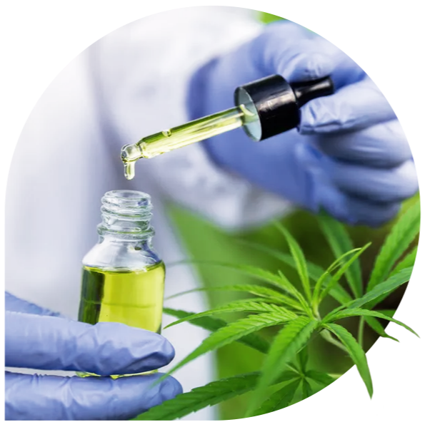 Nossos cursos - Dr. Cannabis