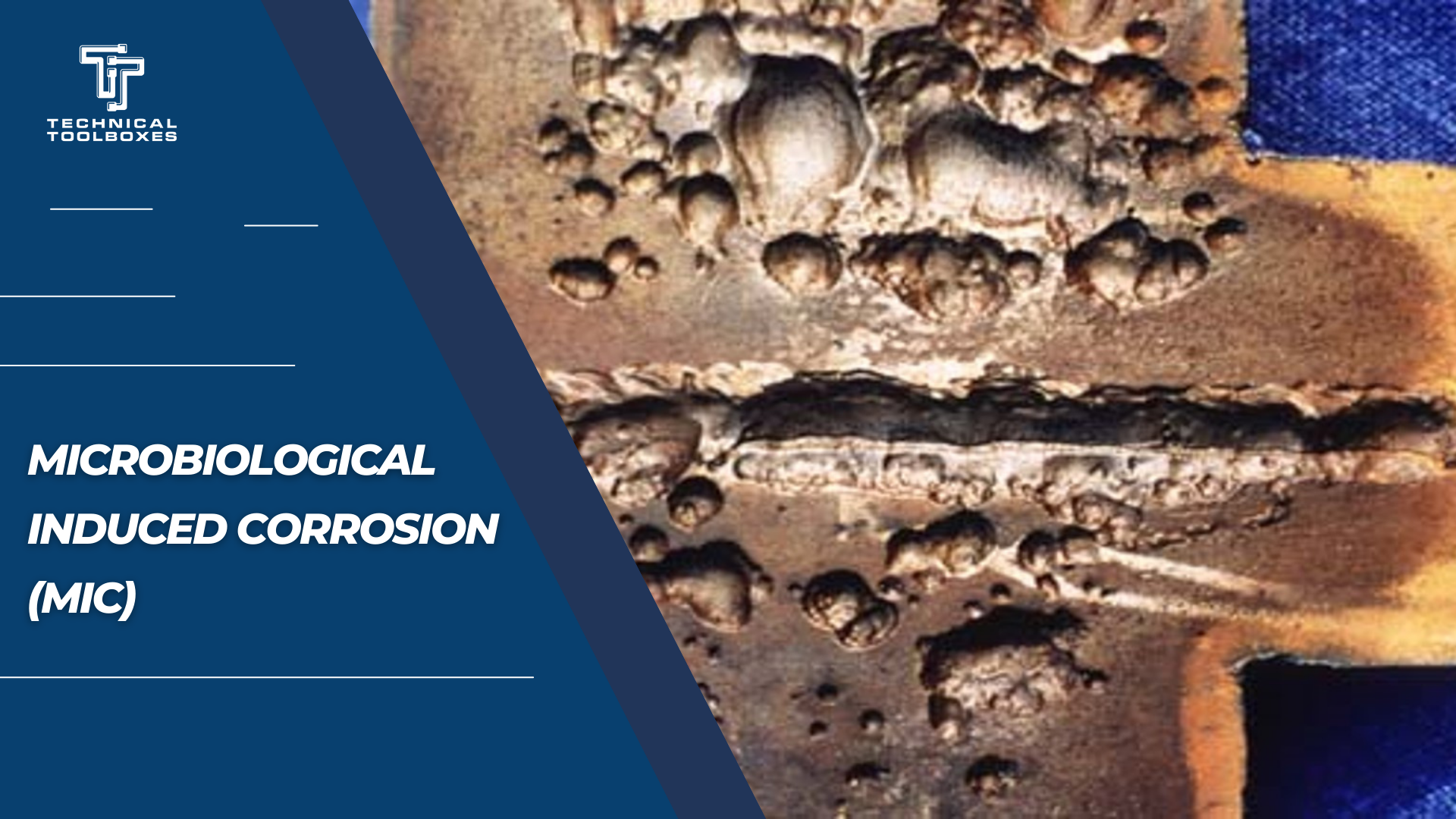 Microbiological Induced Corrosion (MIC)