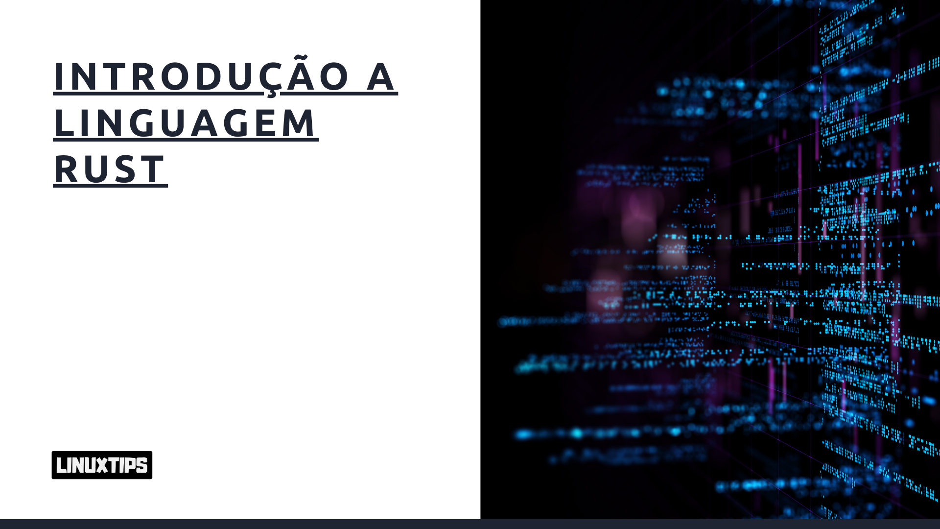 Introdução a linguagem Rust
