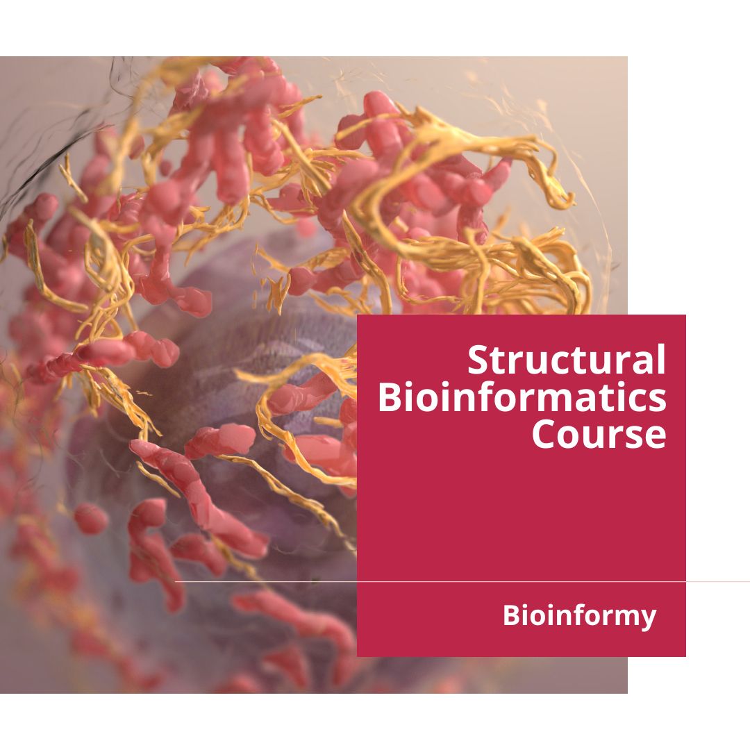 Structural Bioinformatics Course