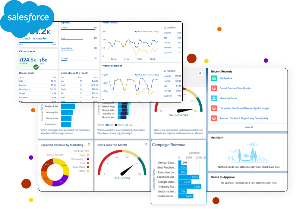 Become Certified Salesforce Professional