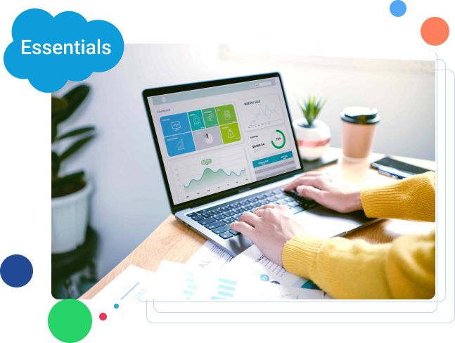 Salesforce Essentials Online Program