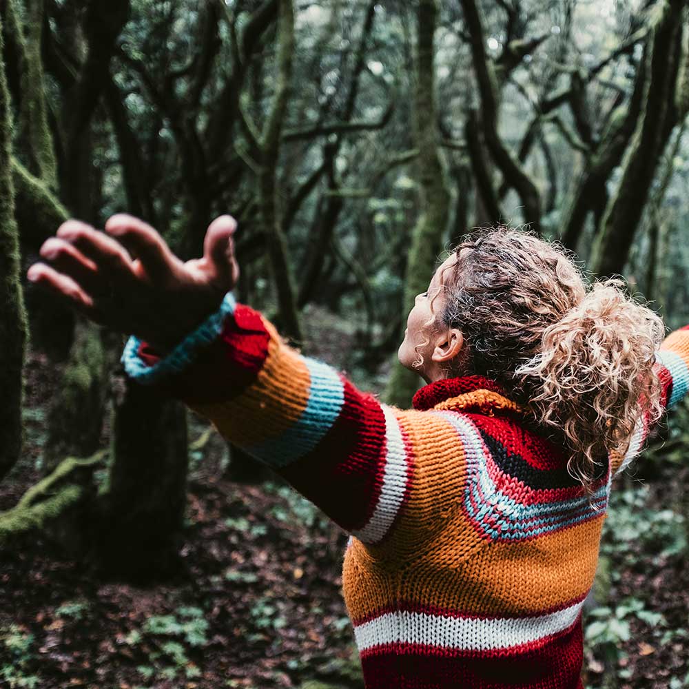 Discover the Calm: A Beginner’s Guide to Forest Bathing (Shinrin-Yoku)