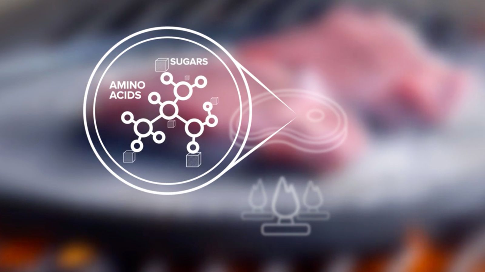 Basic Food Science Principles