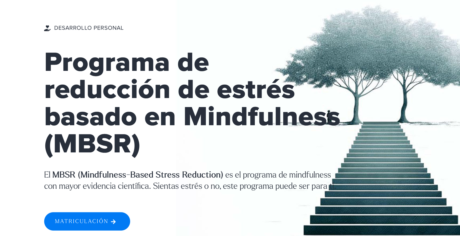 ¿Qué es MBSR? Programa de reducción de estrés basado en Mindfulness