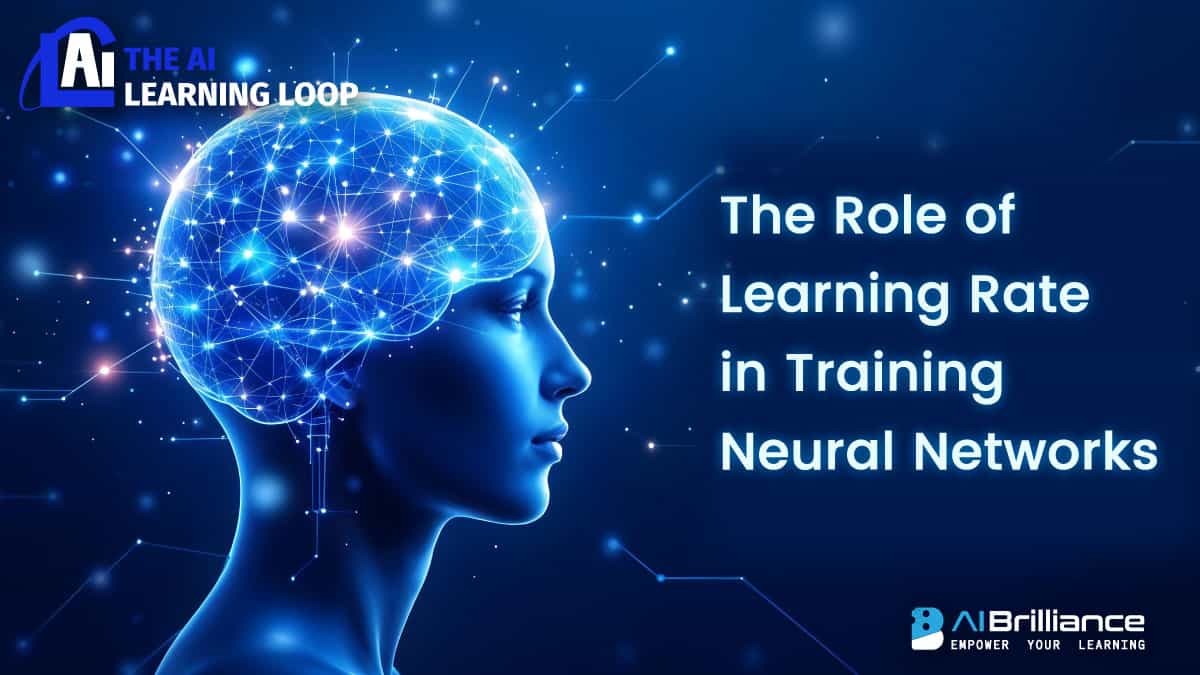 The Role of Learning Rate in Training Neural Networks