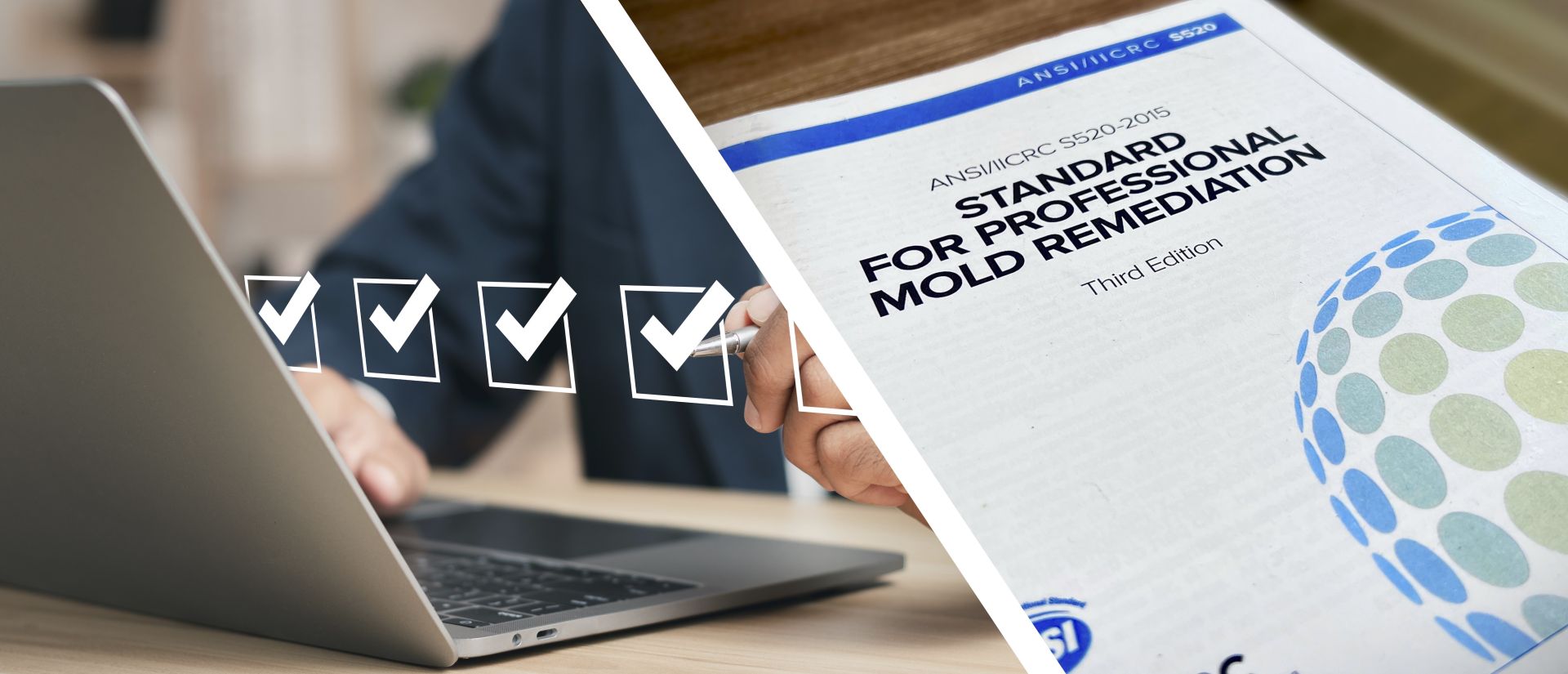 Report Writing + Mold Remediation Protocols Bundle