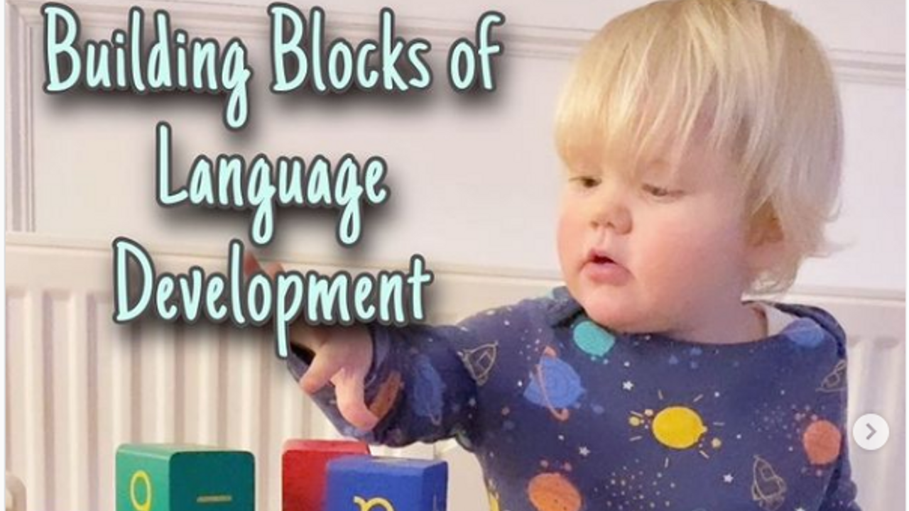 The Building Blocks of Language Development