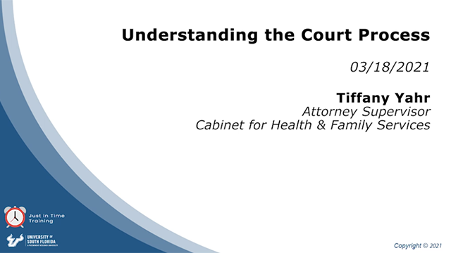 Understanding the Court Process (0.5 Credit Hour)