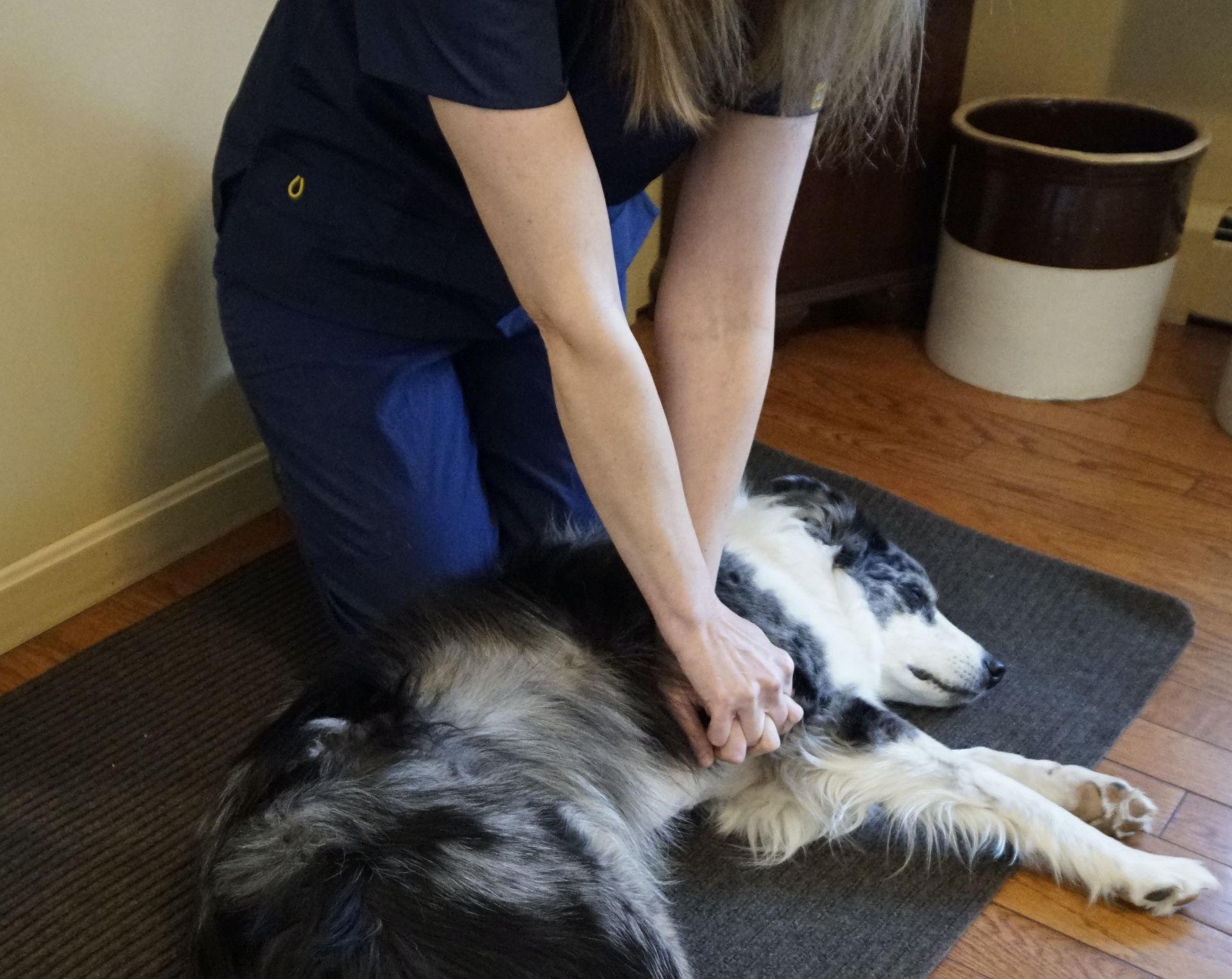 CPR: Basic Life Support (RACE 1.0 CEU)