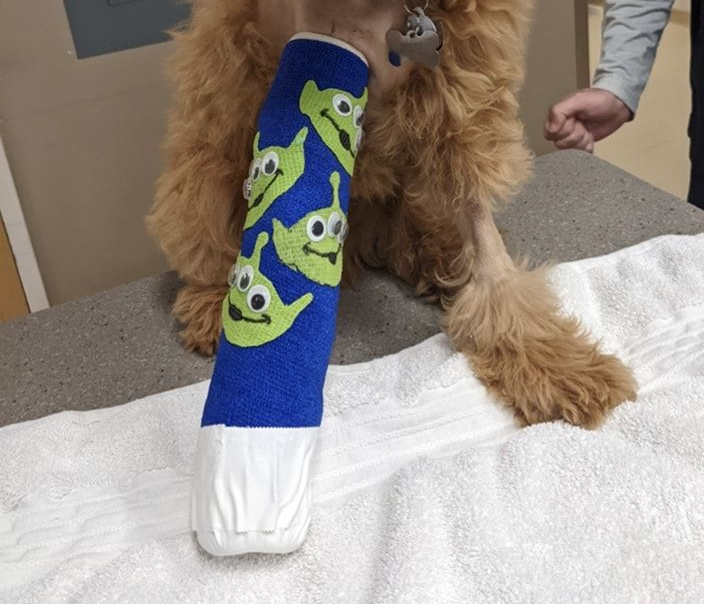 Bandaging 101: Robert Jones (1.0 CEU)