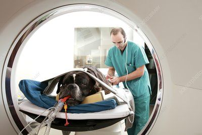 Anesthesia and Sedation for Imaging Procedures (RACE 1.0 CEU)