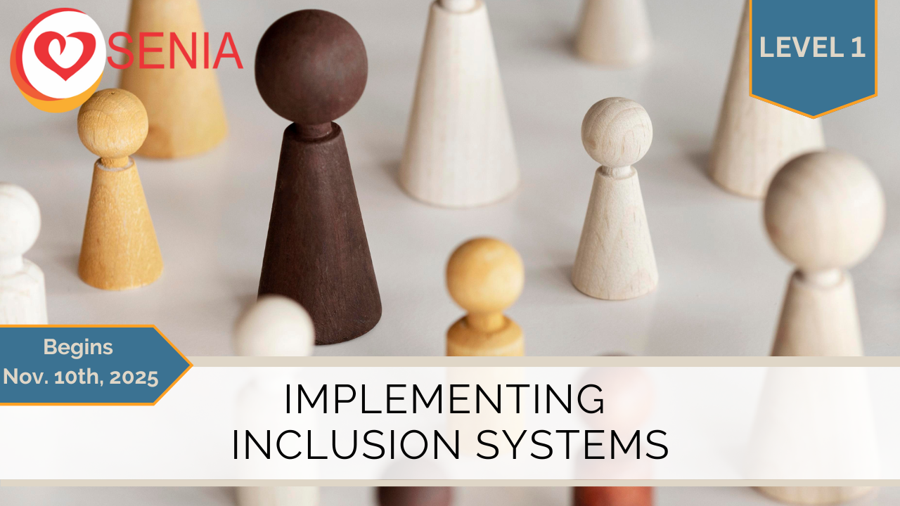 Implementing Inclusion Systems (November 2025)