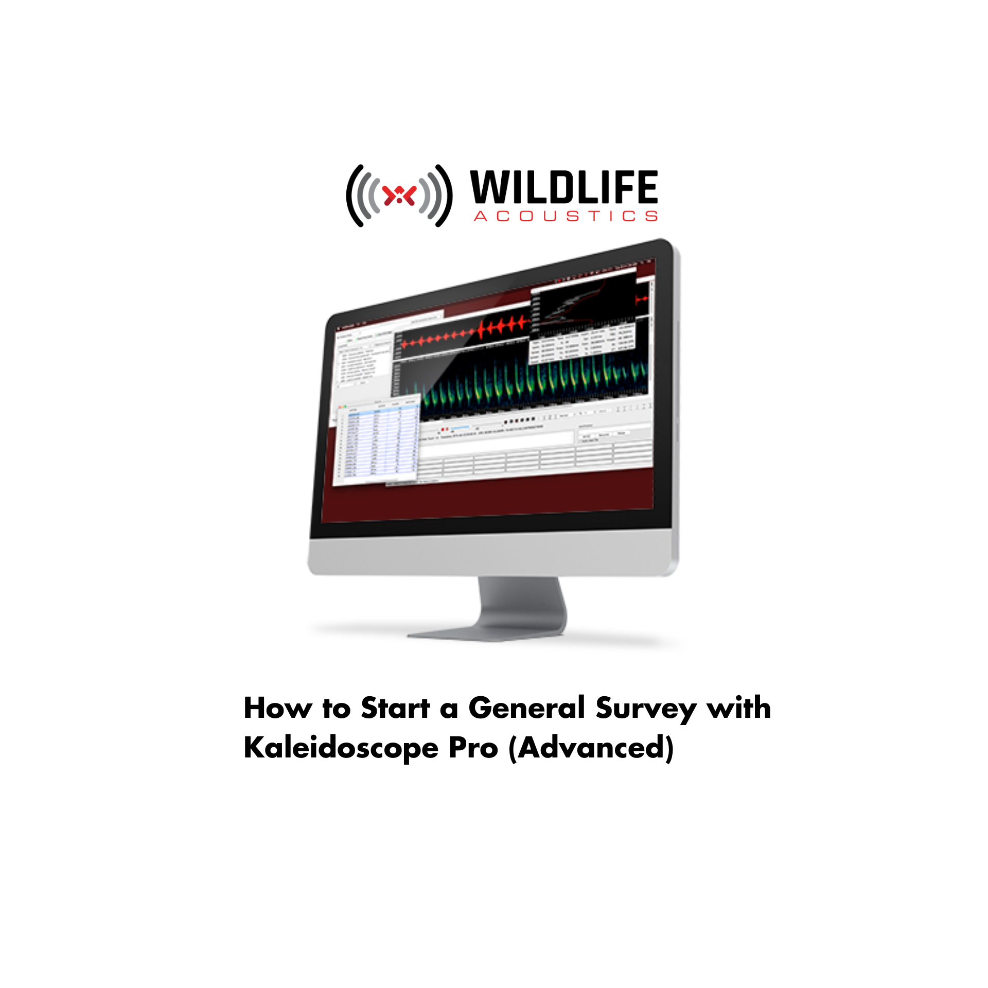 Feb 2: How to Start a General Survey with Kaleidoscope Pro (Advanced)