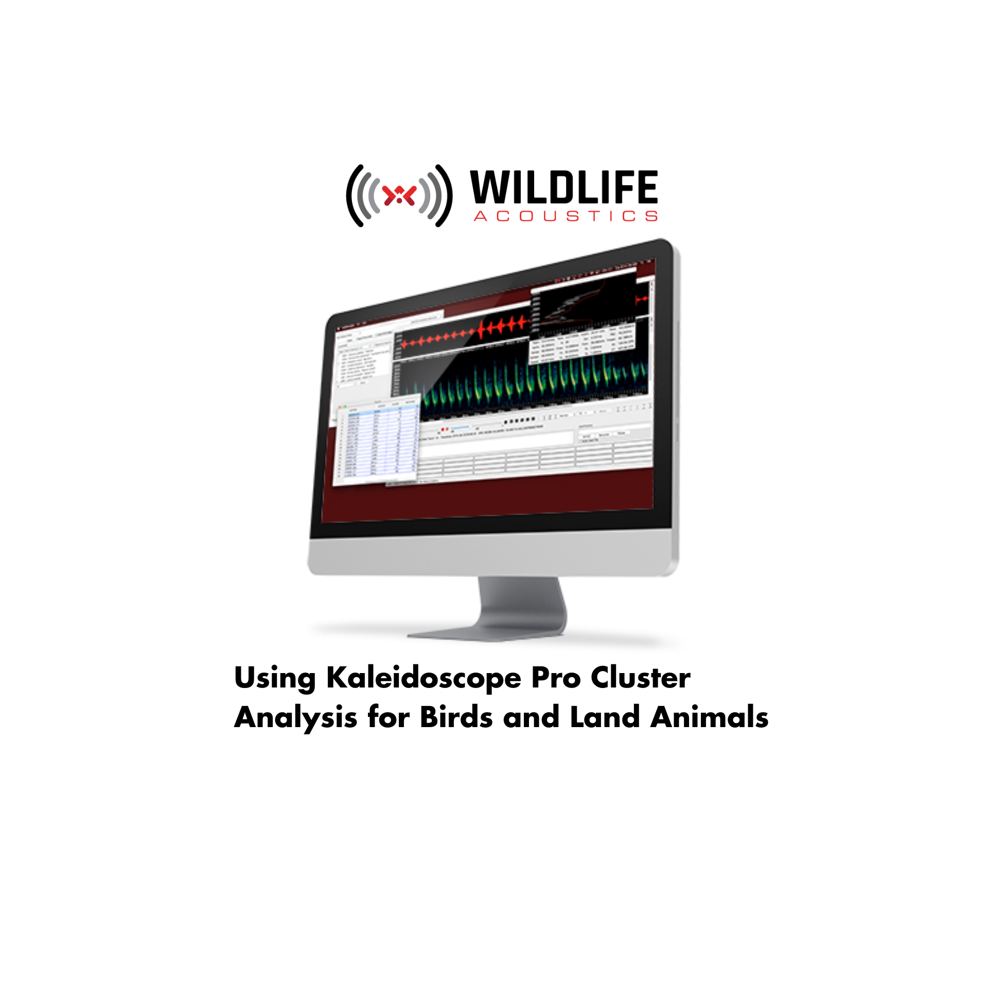 Oct 1: Intro to Kaleidoscope for Birds & Land Animals (Beginner)