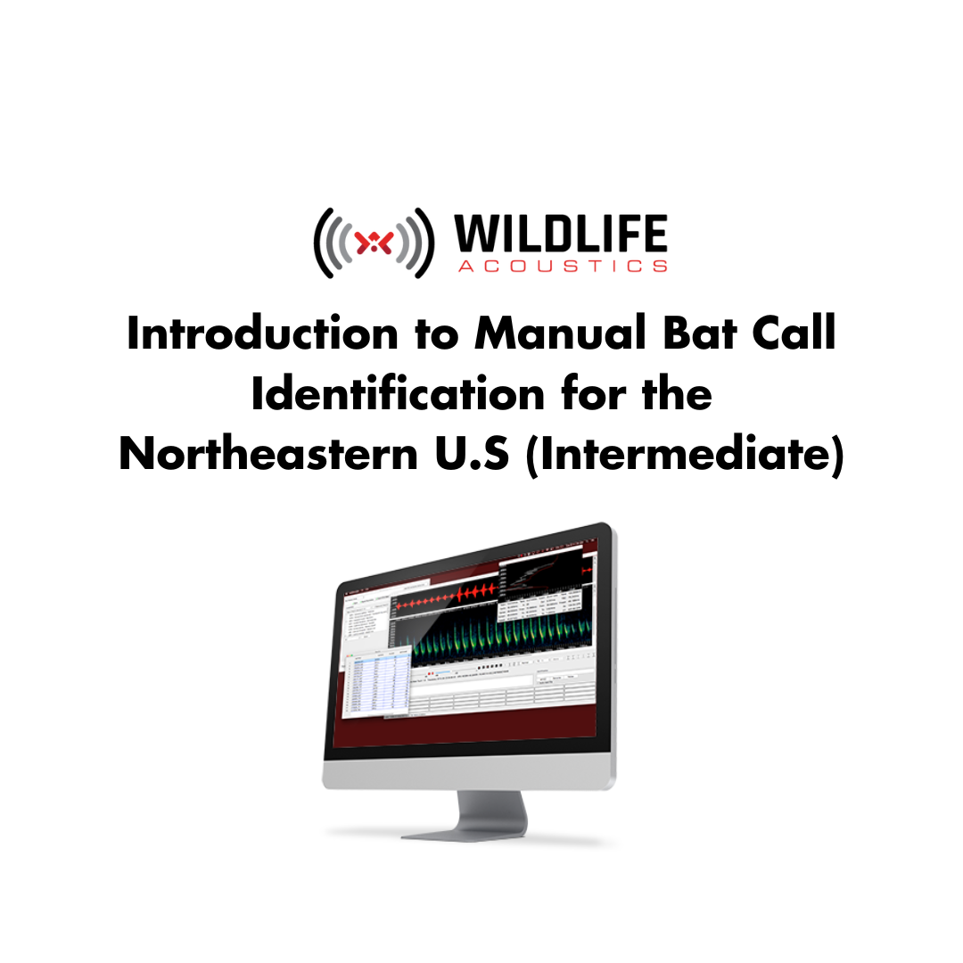 Nov 19: Introduction to Manual Bat Call Identification for the ...