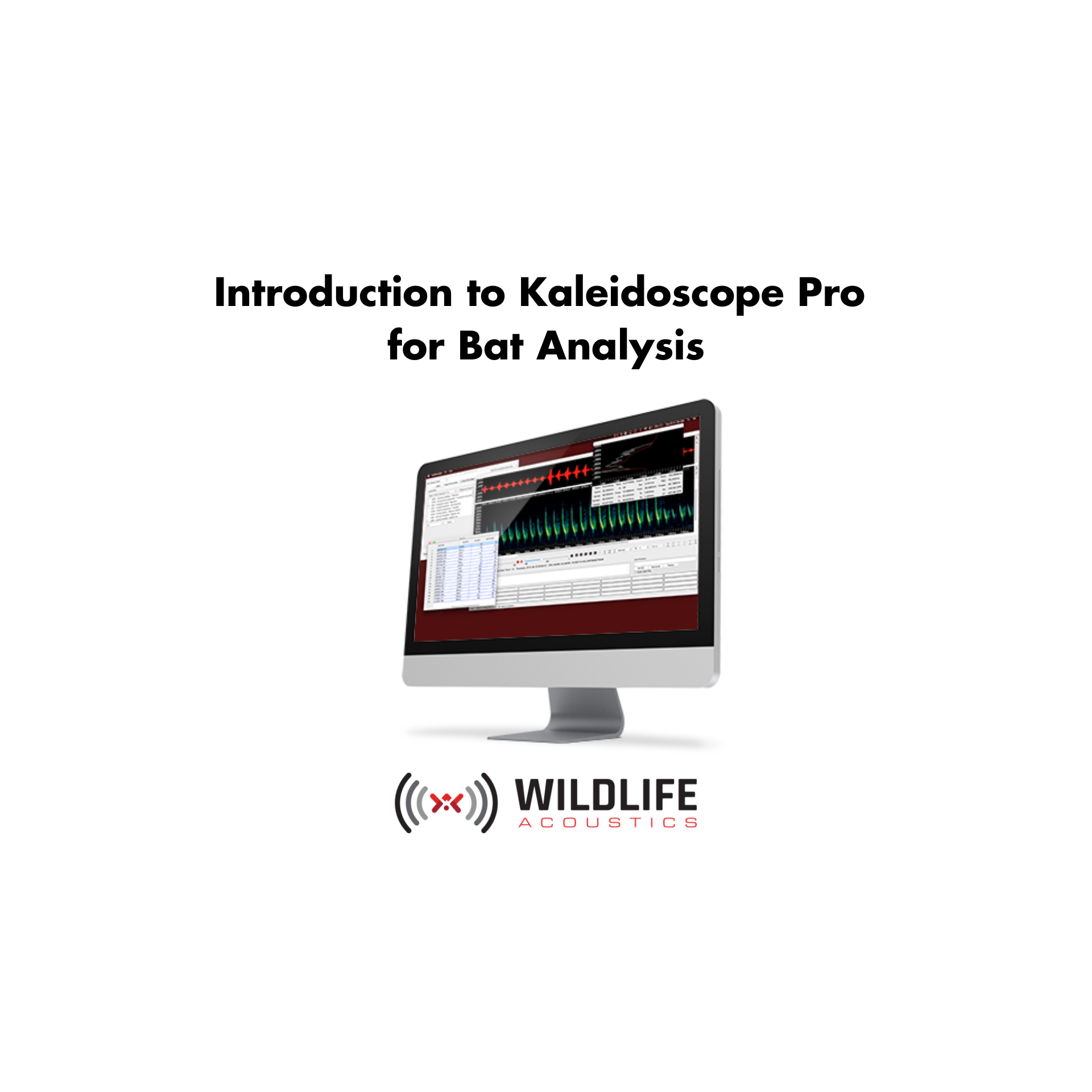 Oct 22: Introduction to Kaleidoscope for Bat Sound Analysis (Beginner)