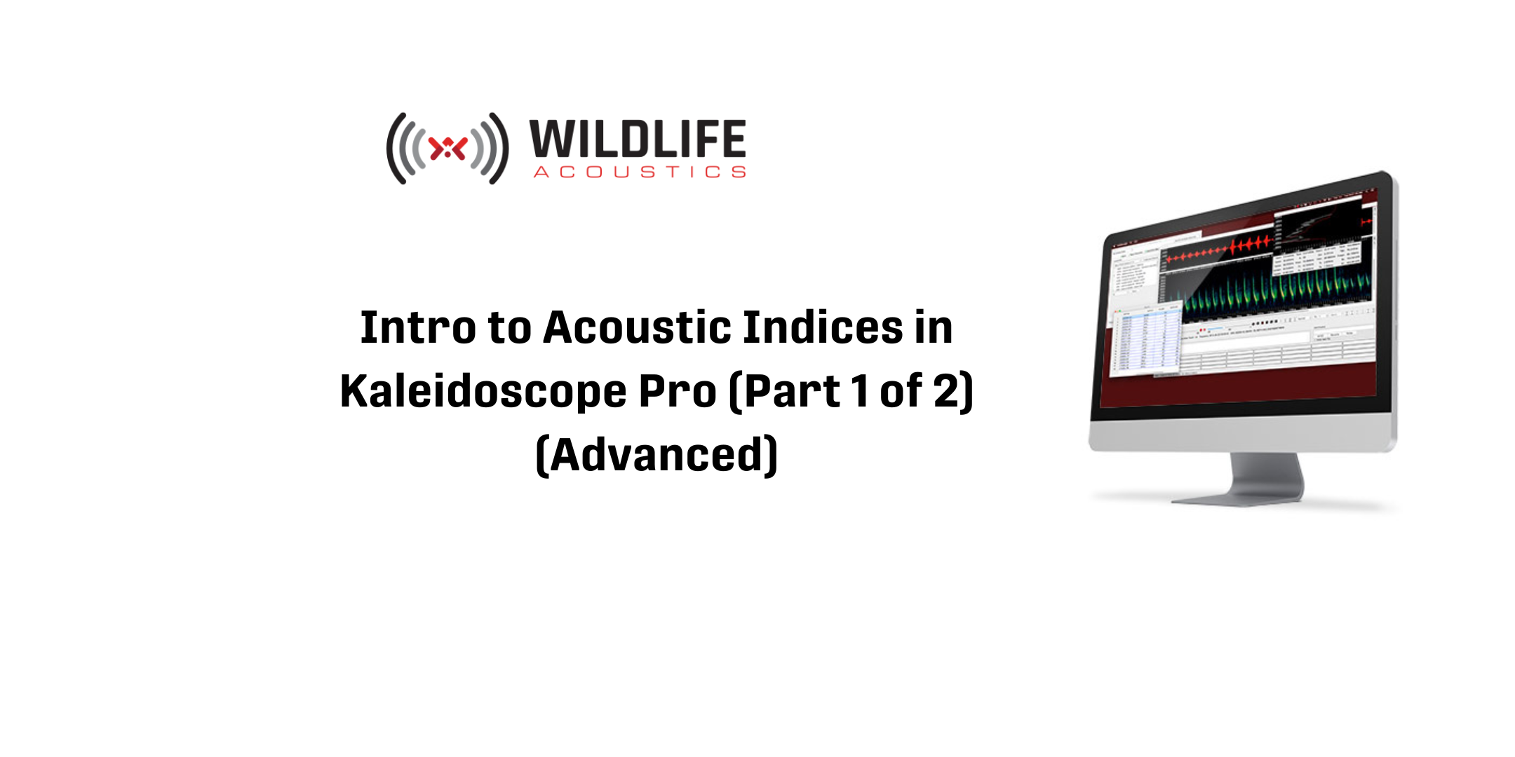 Feb 4: Intro to Acoustic Indices for Biodiversity Monitoring (Intermediate)
