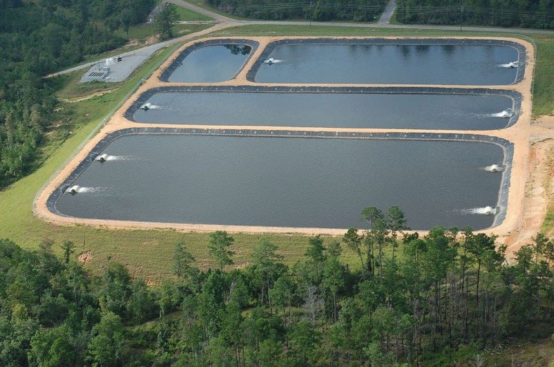 Introduction to Ponds and Lagoons