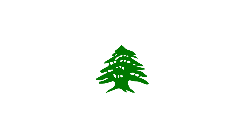 Lebanese Arabic Accelerator