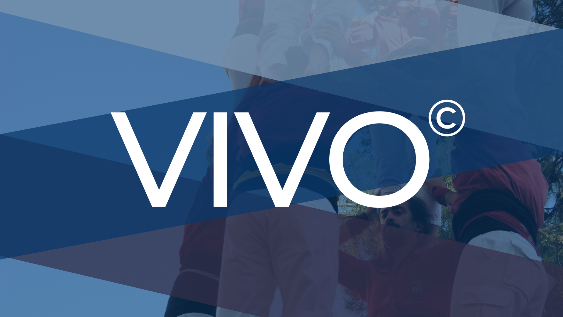 VIVO©