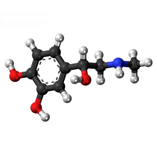 Organic Chemistry Refresher for the ACS Final Exam Organic Chemistry Refresher for the ACS Final Exam