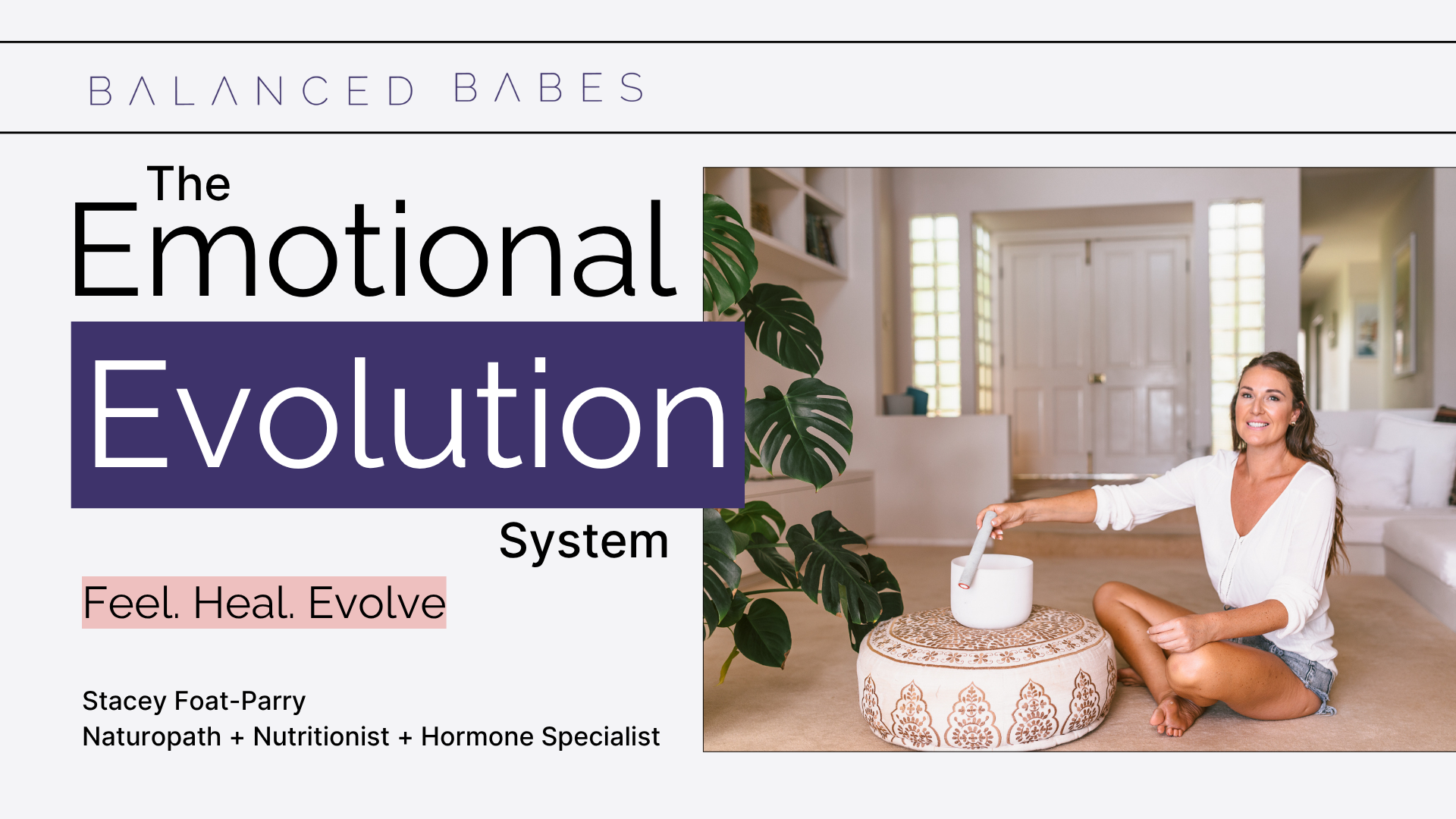 The Emotional Evolution System