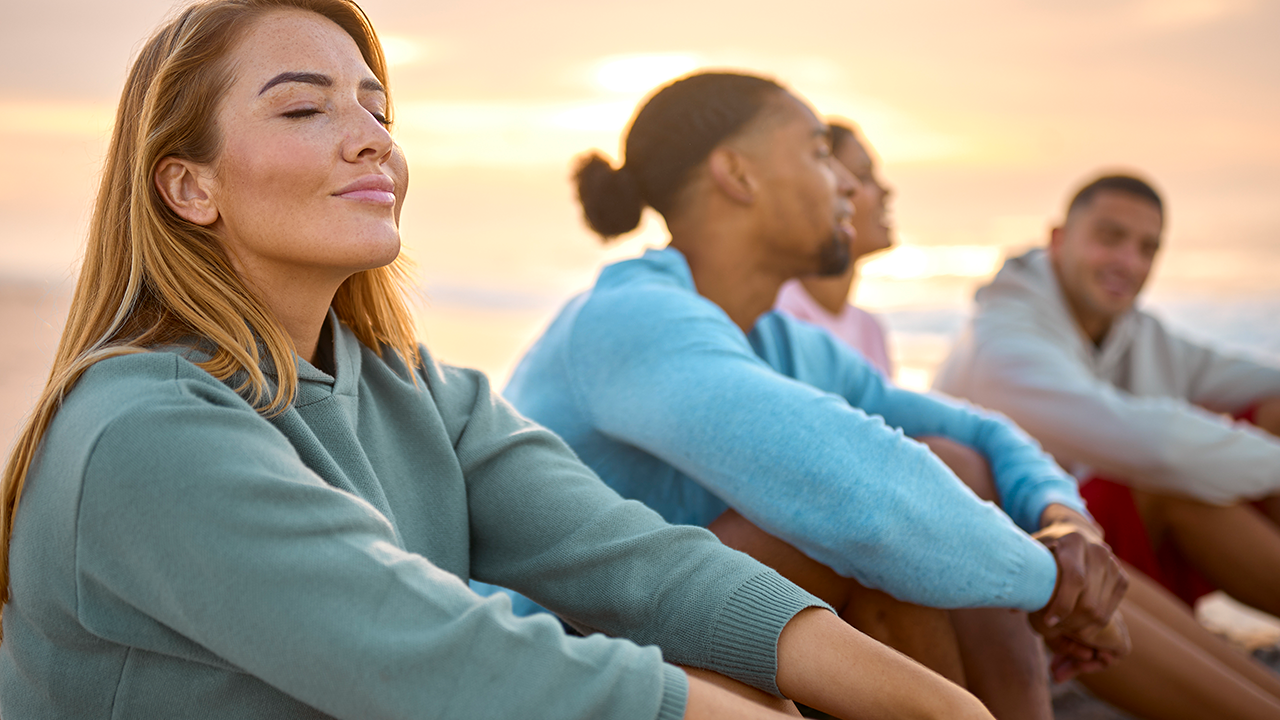 WELLNESS Training Bundle