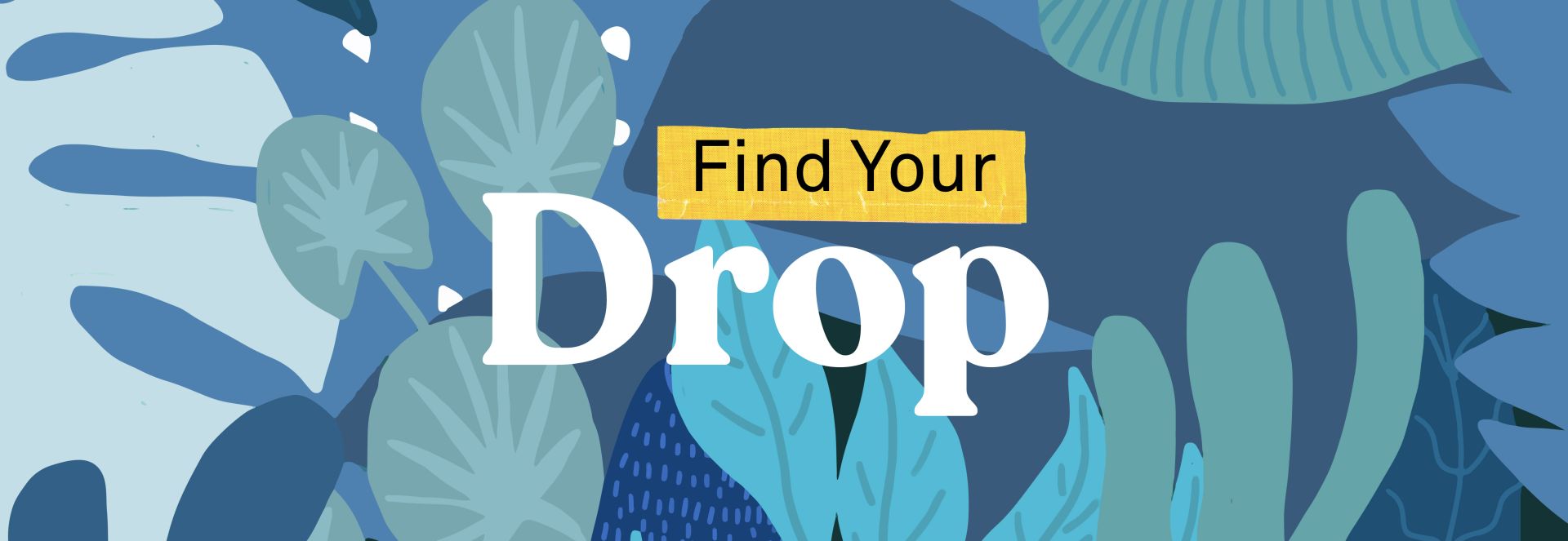 Find Your Drop