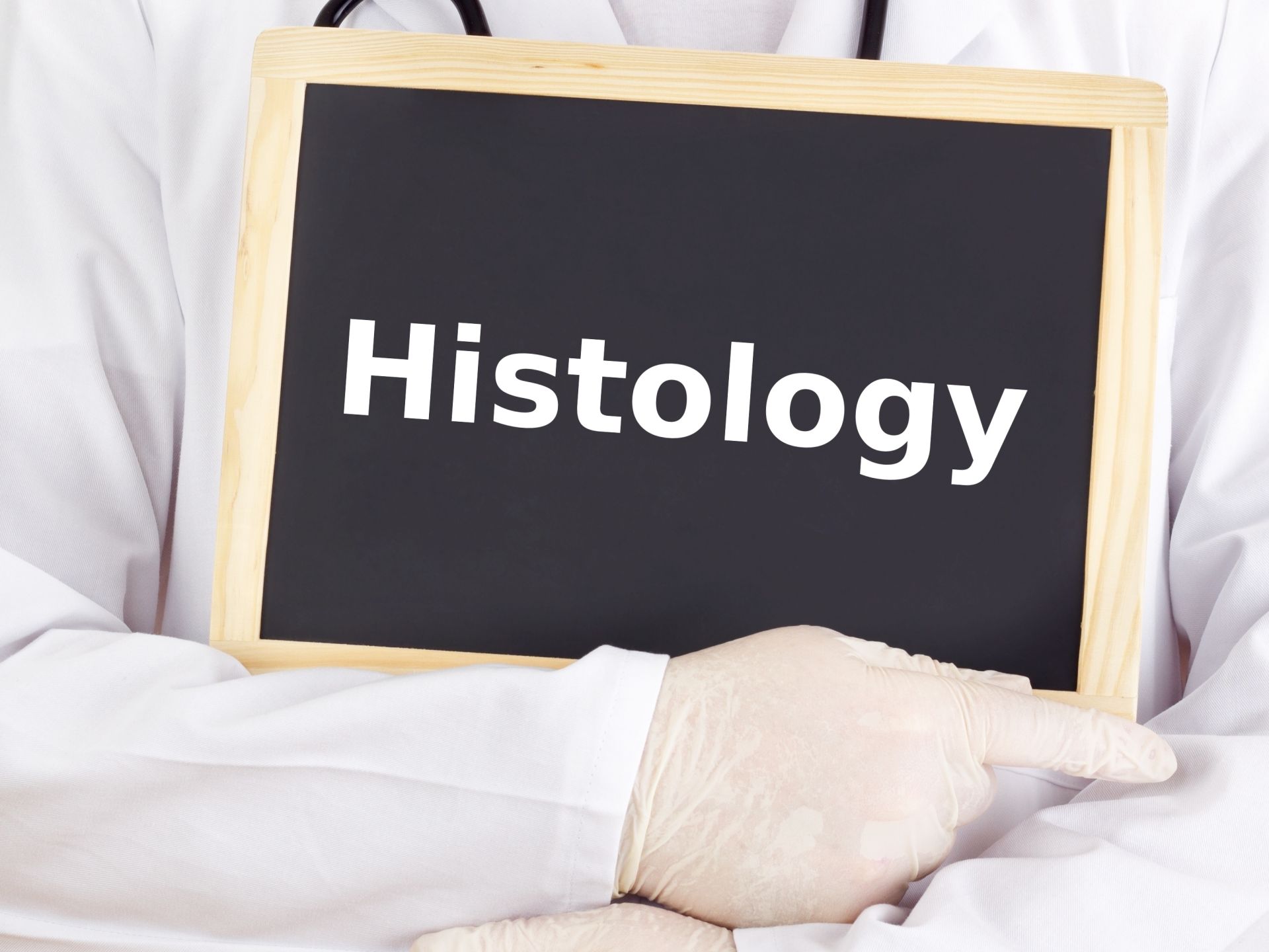What is histology???