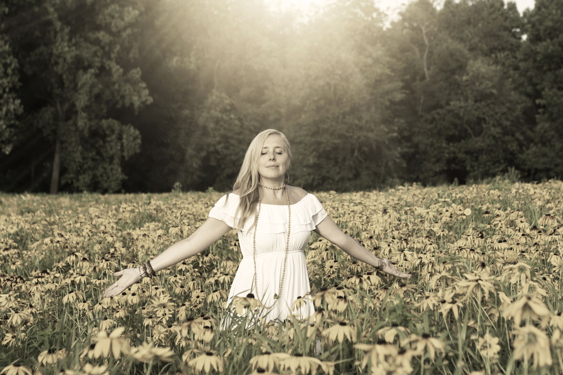 Training Bundle (Illumination Circle)