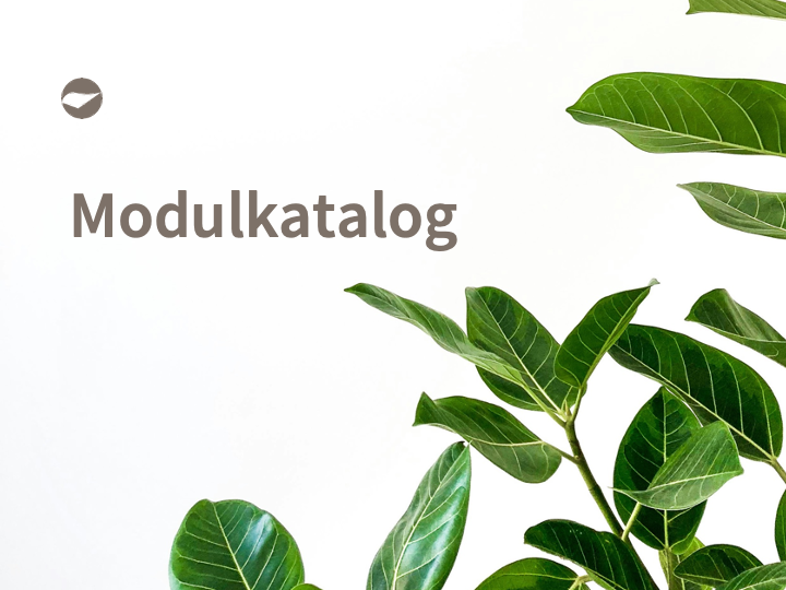 Modulkatalog