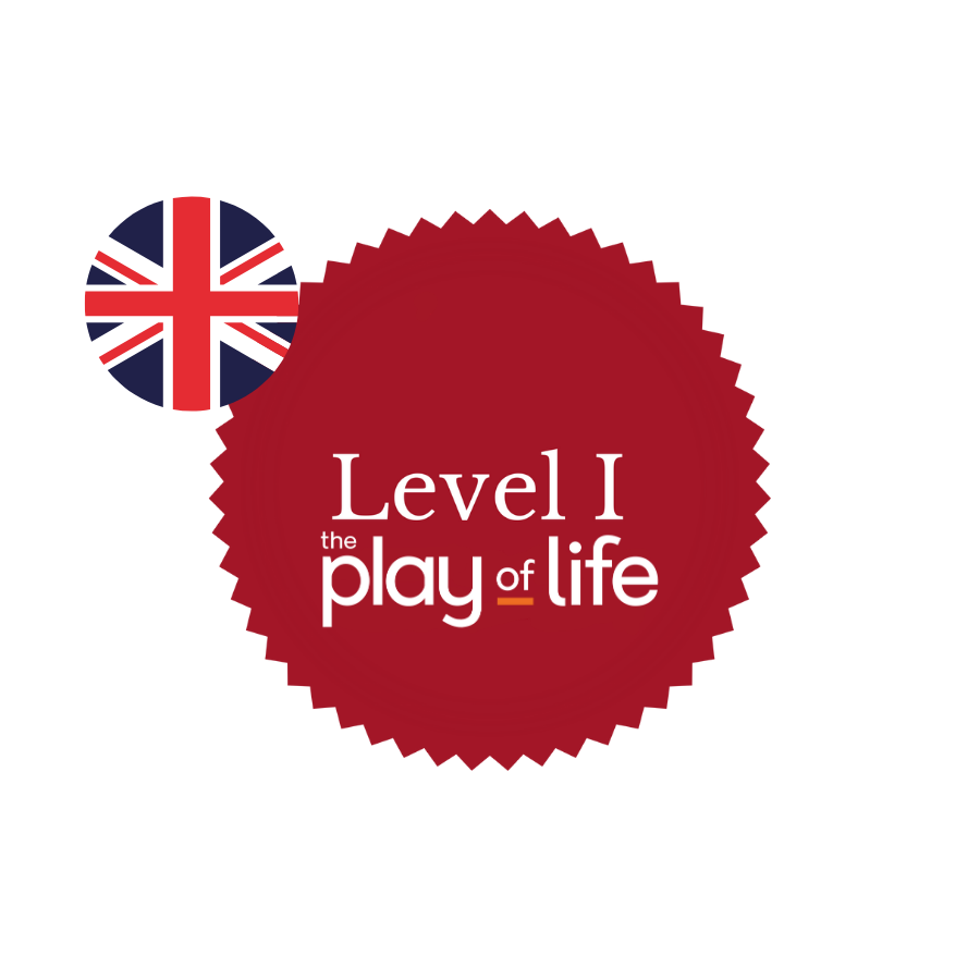 Level 1 - Individual application