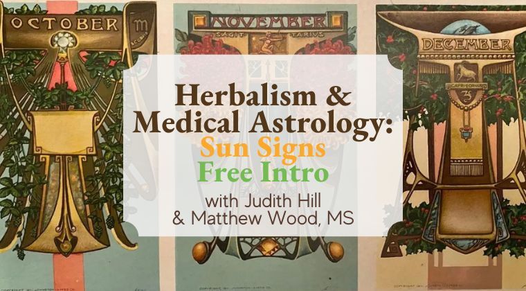 Free Intro to Medical Astrology by Sun Signs