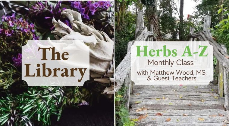 Library + A-Z (Monthly Subscription)