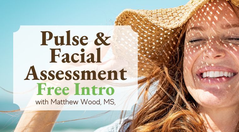 Pulse & Facial Assessment 2019 - Free Intro