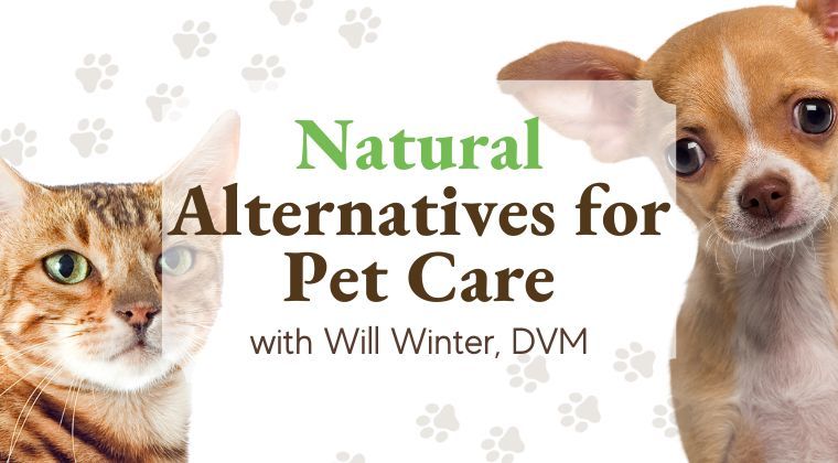 Natural Alternatives for Pet Care | Holistic Pet Care