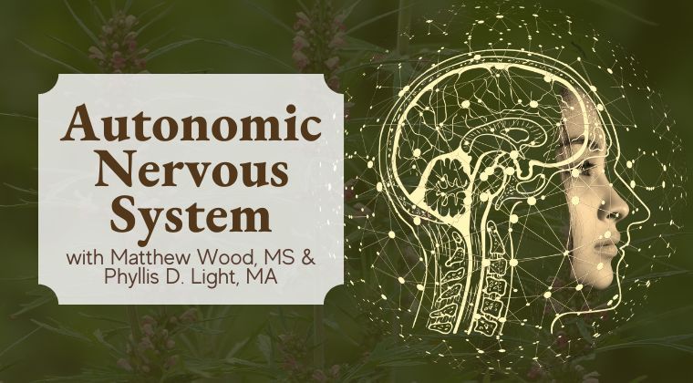 Nervine Herbs to Support the Autonomic Nervous System