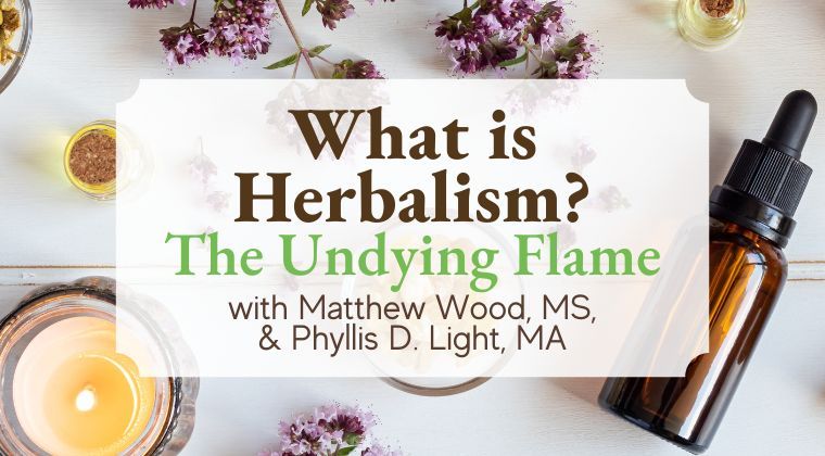A Beginners Guide What is Herbalism?: The Undying Flame