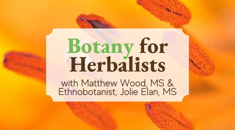 Botany for Herbalists | Learn Botany to Enhance Your Herbal Practice