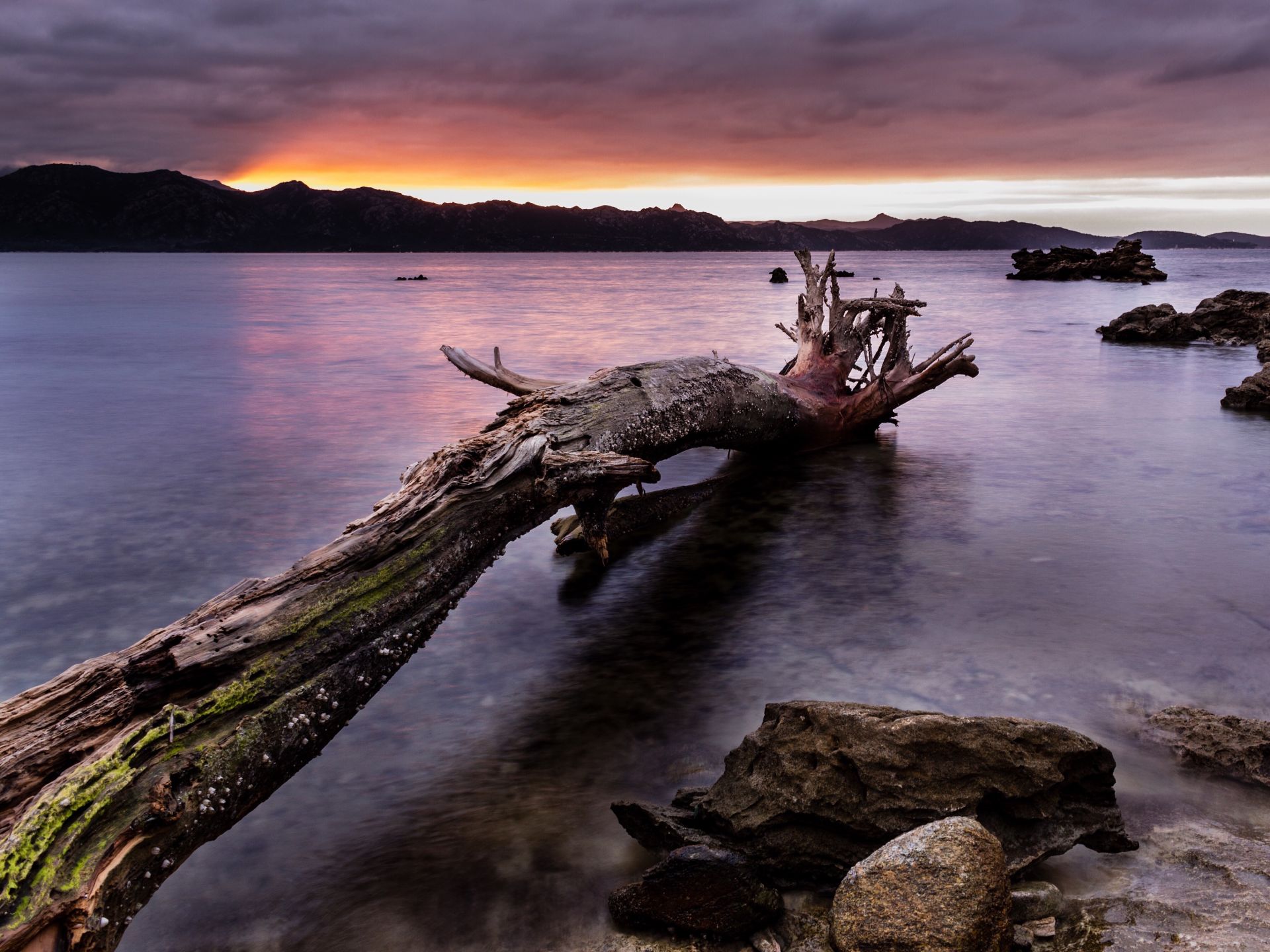 You paid, what?! Is the deal dead before the ink is dry?