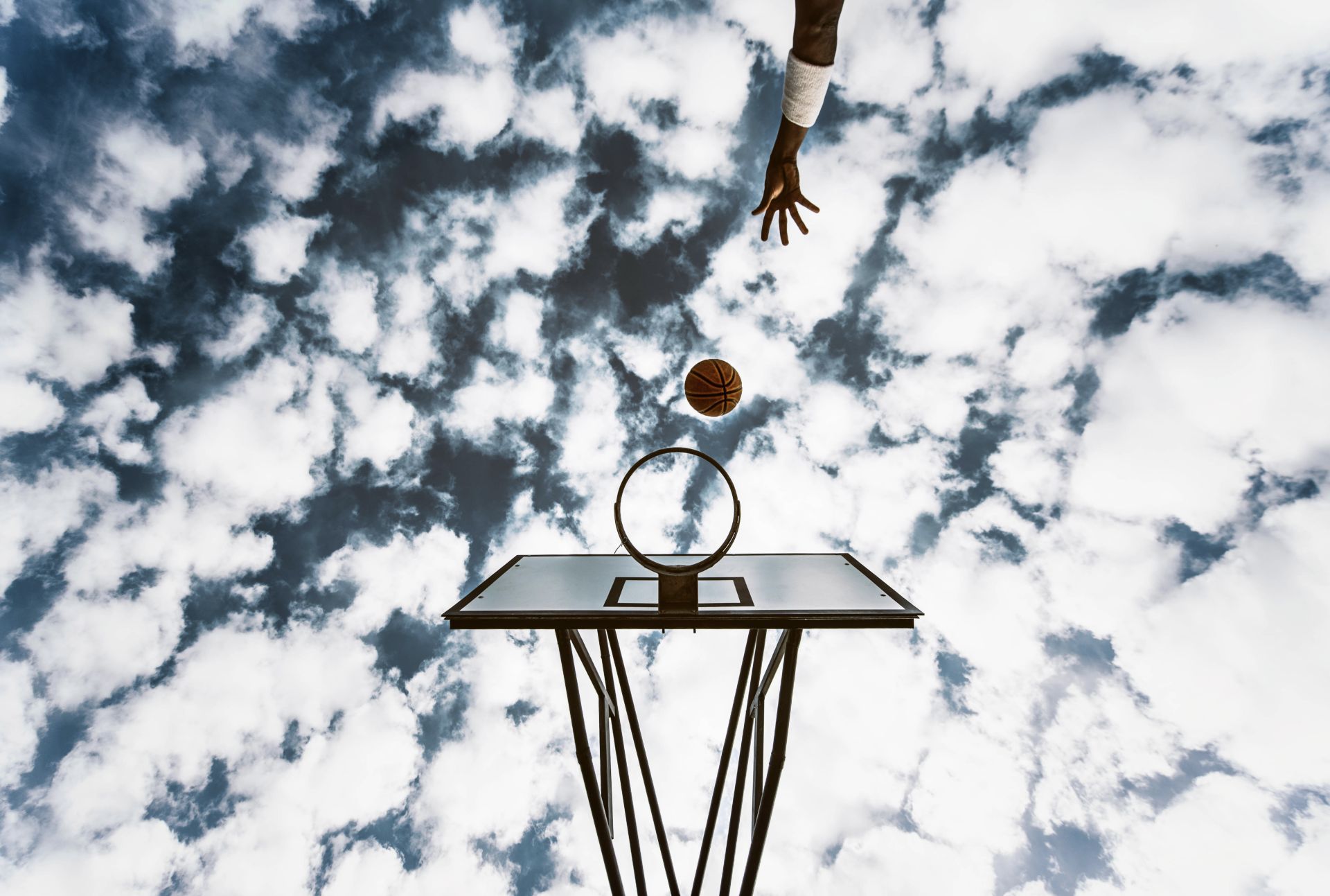 Elevate Your Charts: The Power of Dynamic Labeling